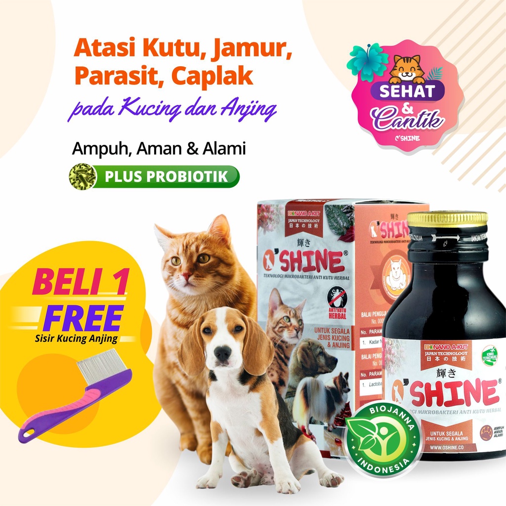 Jual Oshine Obat Anti Kutu Jamur Scabies Kucing Kitten Anjing Ampuh ...