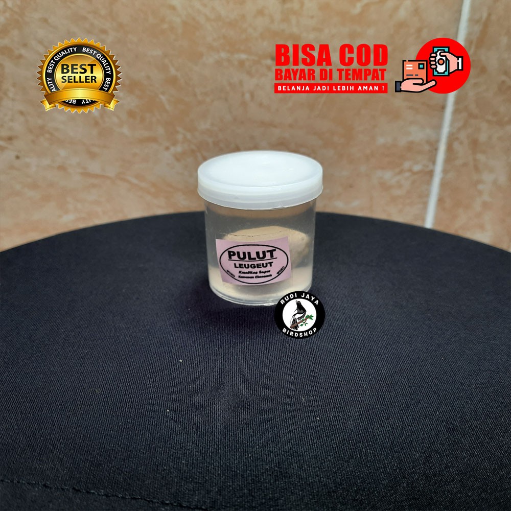 Jual PULUT LEM BURUNG 50 GRAM GETAH KARET ASLI LEM SUPER LENGKET ANTI ...