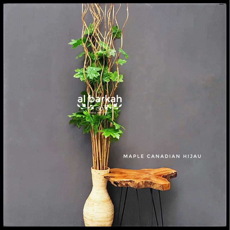 Jual 15 Batang Bambu Ulir Natural Daun Maple Canadian Hijau (Tidak ...