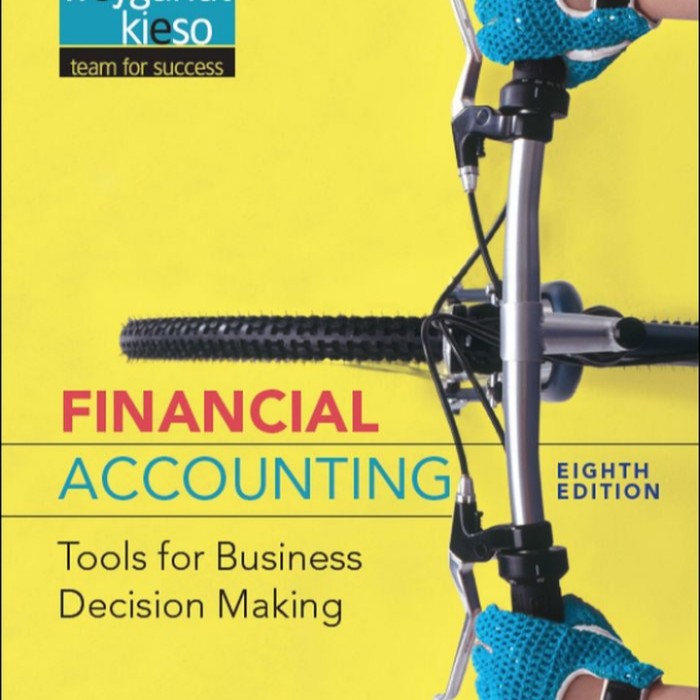 Jual buku Financial Accounting: Tools for Business Decision Making ...