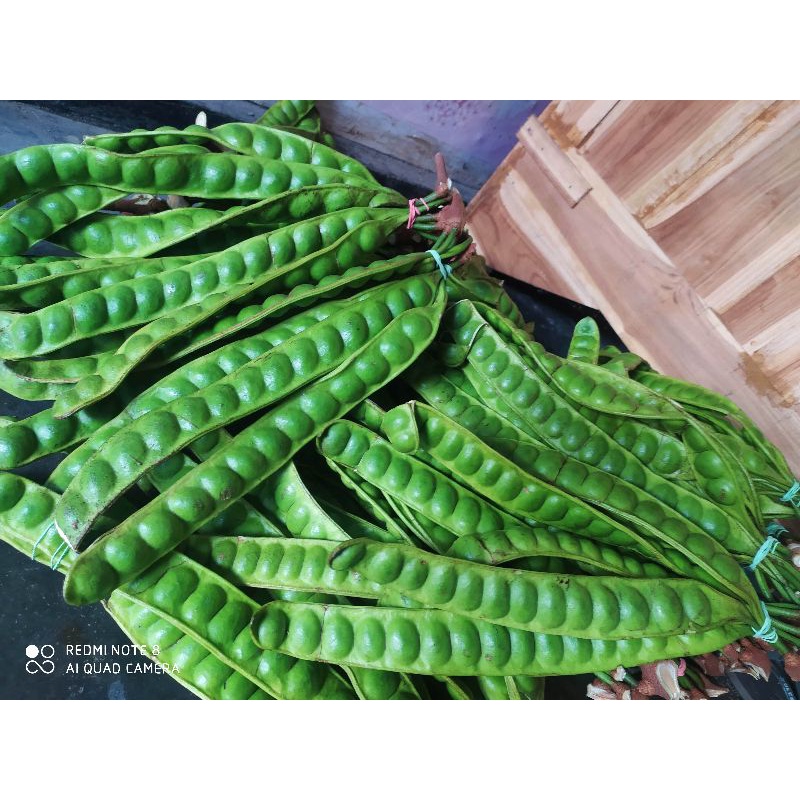Jual pete/petai | Shopee Indonesia