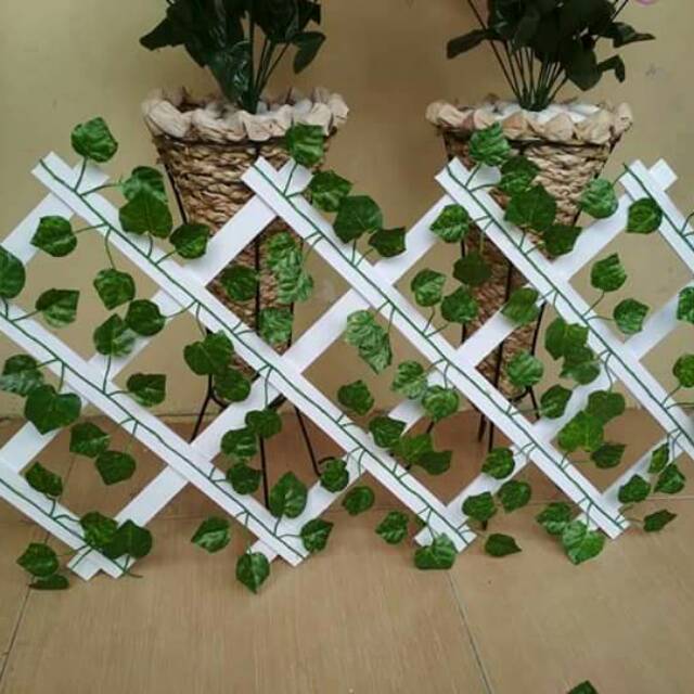 Jual Daun Rambat | Shopee Indonesia