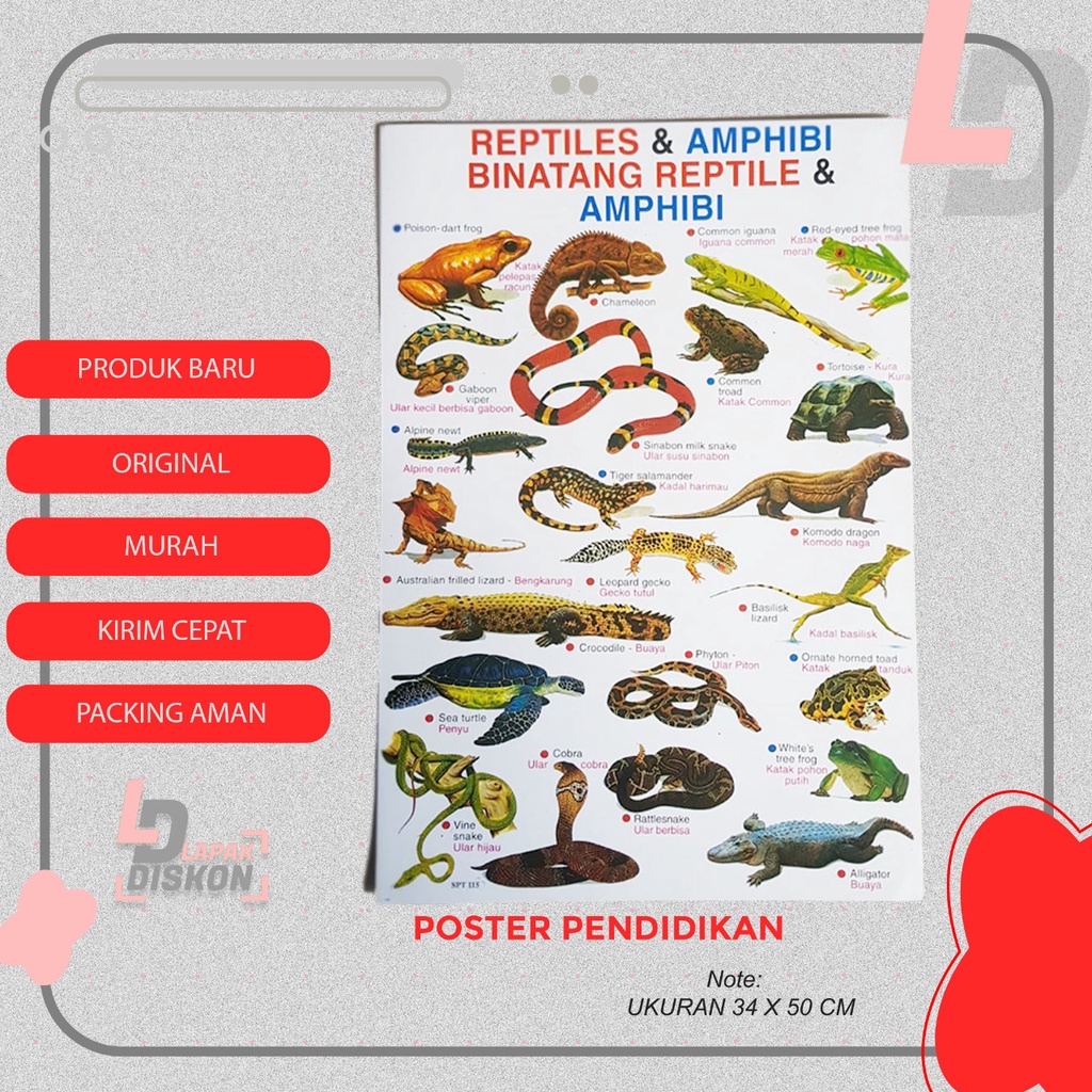 Jual Poster Edukasi Mengenal Binatang Reptil | Shopee Indonesia