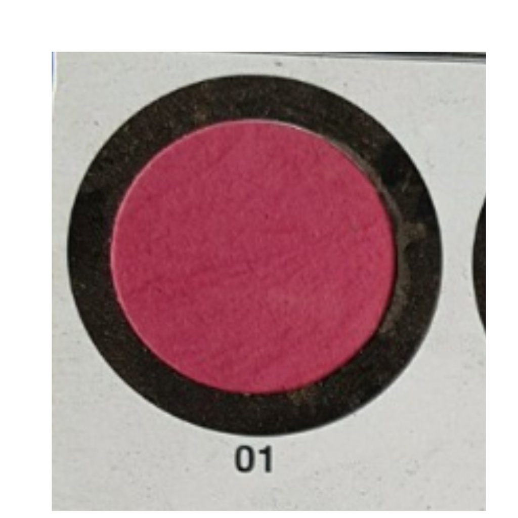 Jual [50 pcs] Map folder kertas stopmap Biola 5001 Snelhecter | Shopee ...