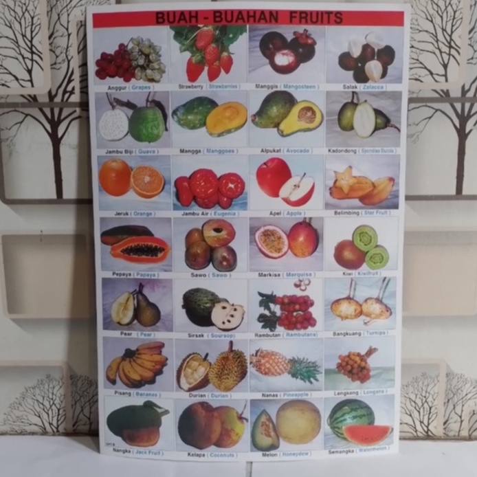 Jual Poster buah-buahan | Shopee Indonesia