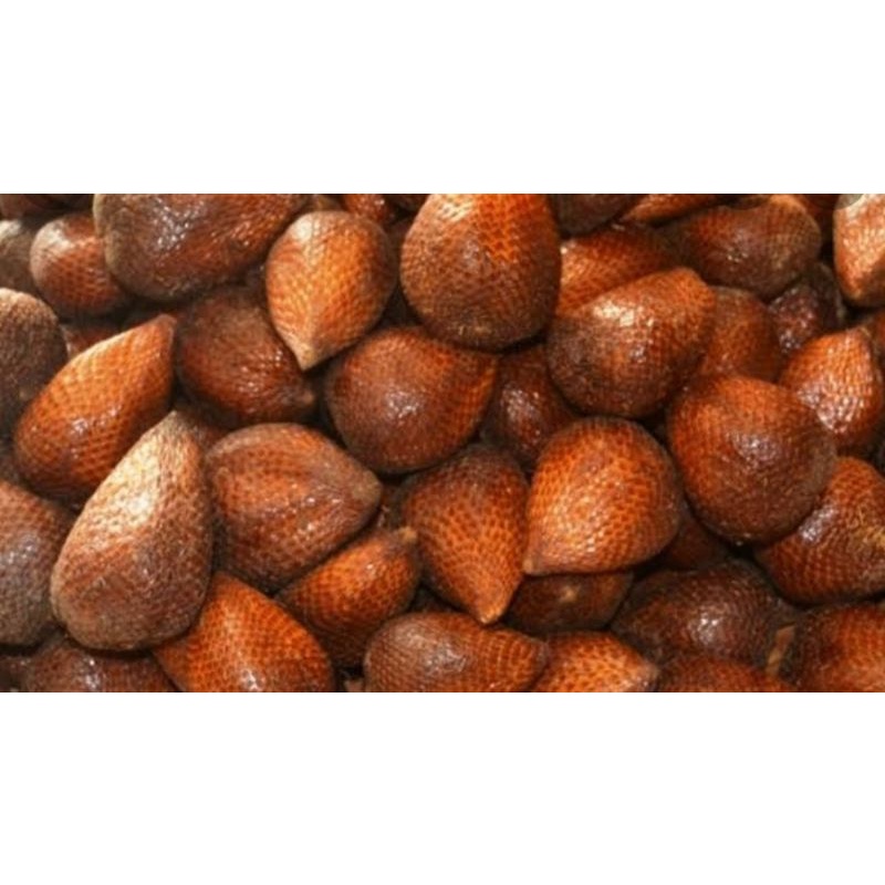 Jual Buah Salak / 1kg | Shopee Indonesia