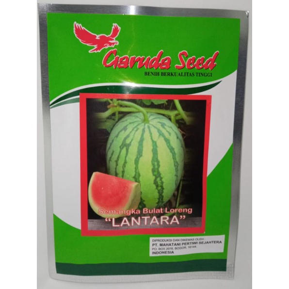 Jual Benih Semangka Bulat Lorek Lantara kemasan 10 gr | bibit semangka ...