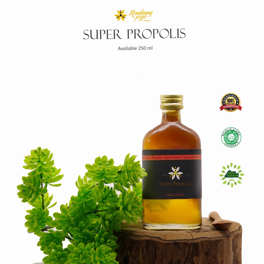 Jual Madu Super Propolis (Madu + Royal Jelly + Bee Pollen + Propolis ...