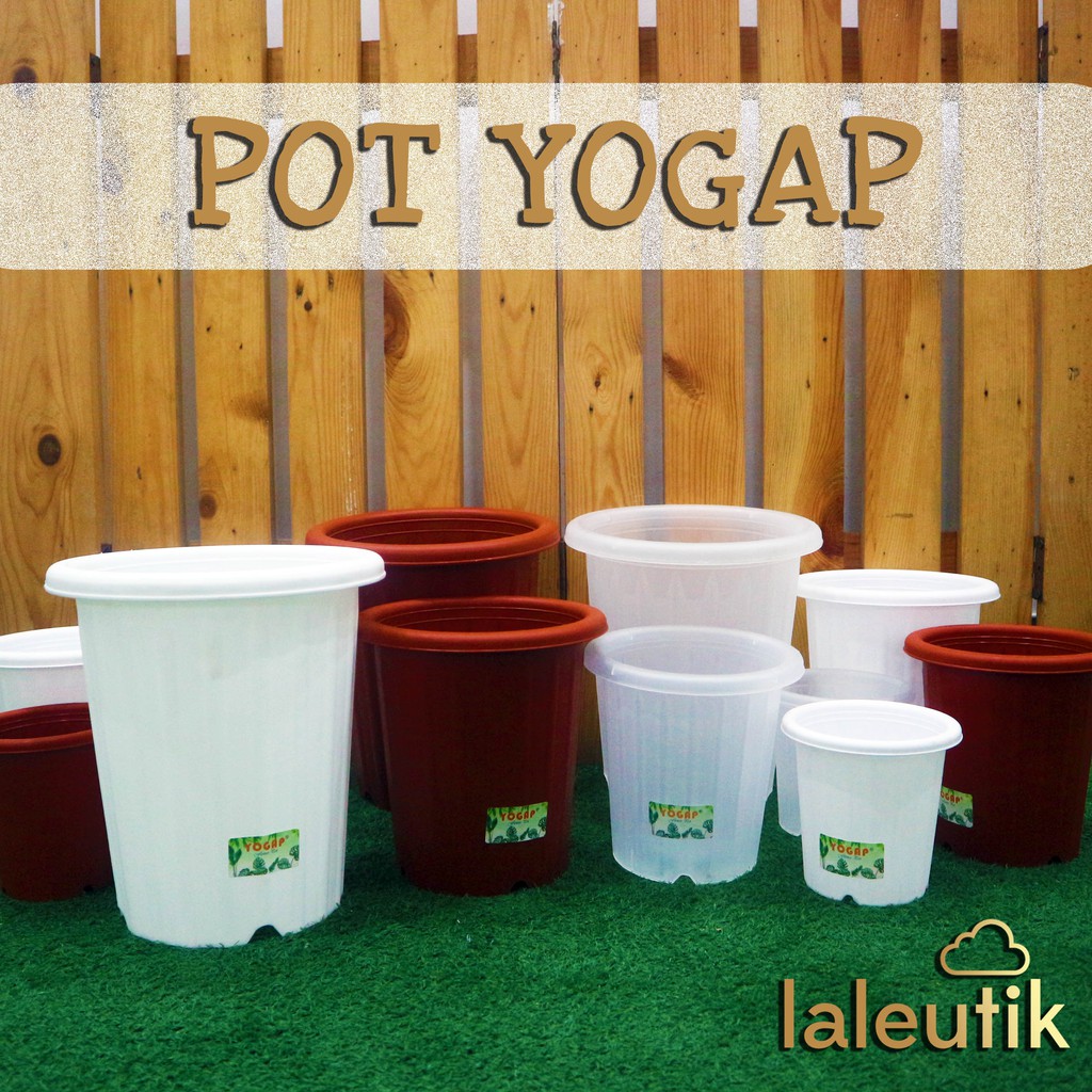 Jual Pot Tanaman Bunga Yogap | Shopee Indonesia