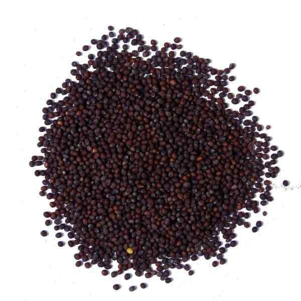 Jual Black Mustard Seeds 500gram / biji sawi hitam | Shopee Indonesia