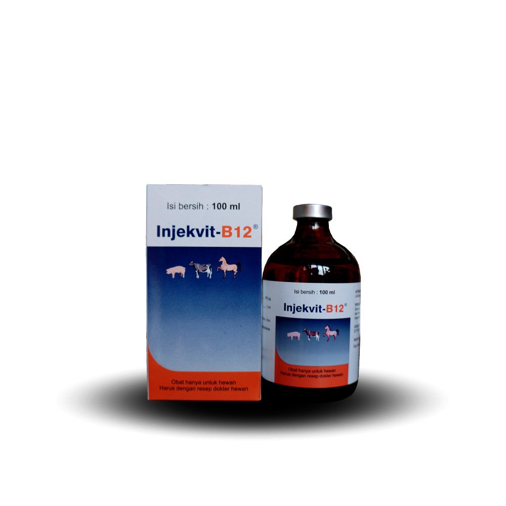 Jual Medion / Vitamin B12 Injeks/ Injecvit B12 100 ml | Shopee Indonesia