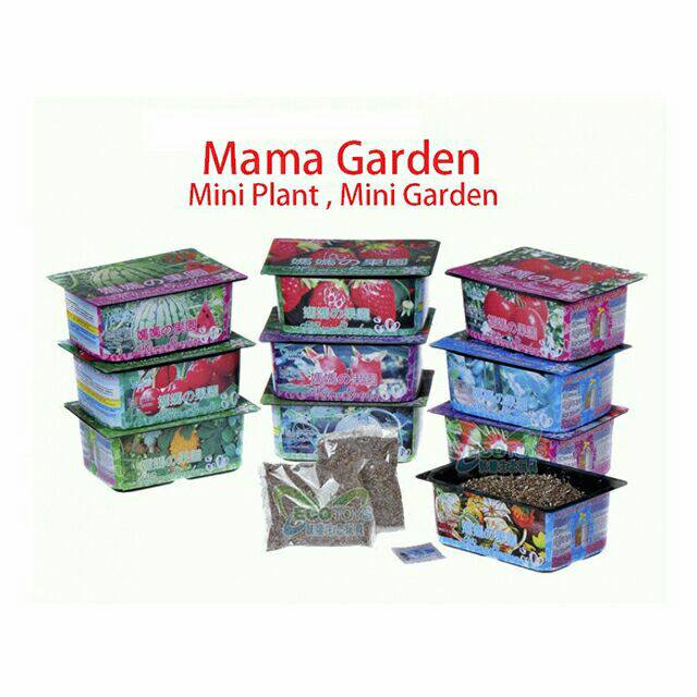 Jual Kebun / Tanaman Mini ( Mama Garden ) | Shopee Indonesia