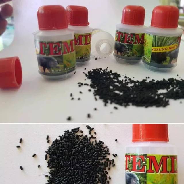 Jual Racun tikus & babi hutan ampuh Temix Temik | Shopee Indonesia Jual Racun tikus & babi hutan ampuh Temix Temik | Shopee Indonesia