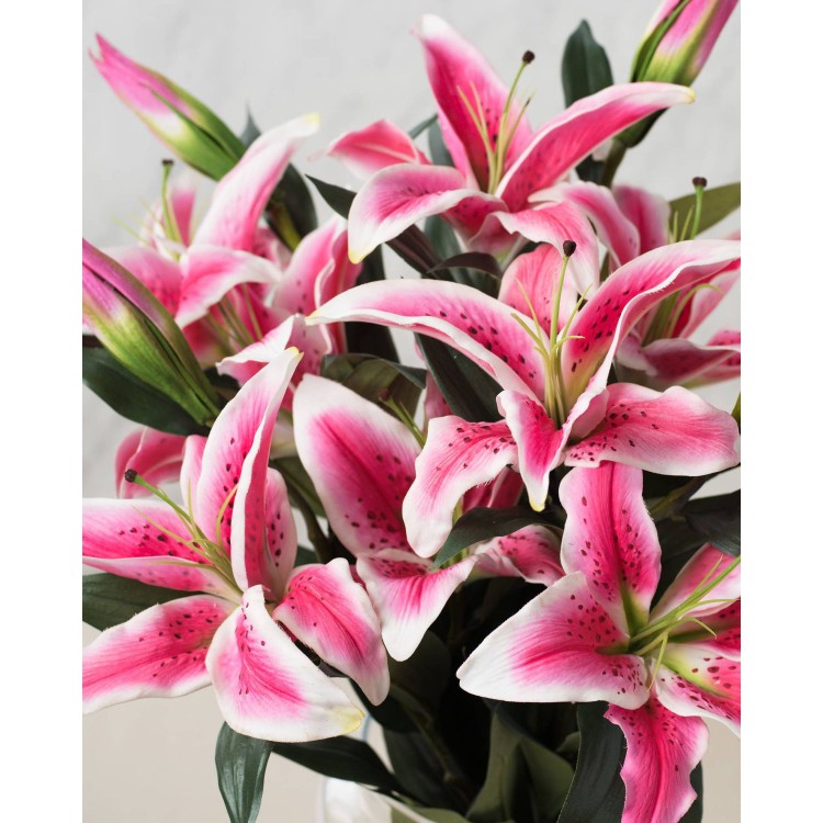 Jual Good Quality !! Bunga Lily segar satu ikat isi 12 - 16 kuntum ...