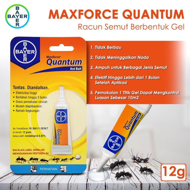 Jual Bayer Maxforce Quantum Racun Semut Berbentuk Gel | Shopee Indonesia