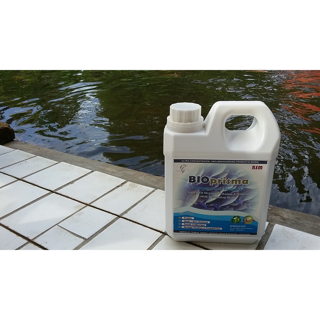 Jual Probiotik Budidaya Ikan Lele (Kolam / Bioflock / Terpal / Booster ...