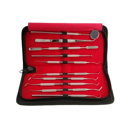 Jual Dental Instrument Kit Compact Set Isi 10 Diagnostic Set Stainless ...