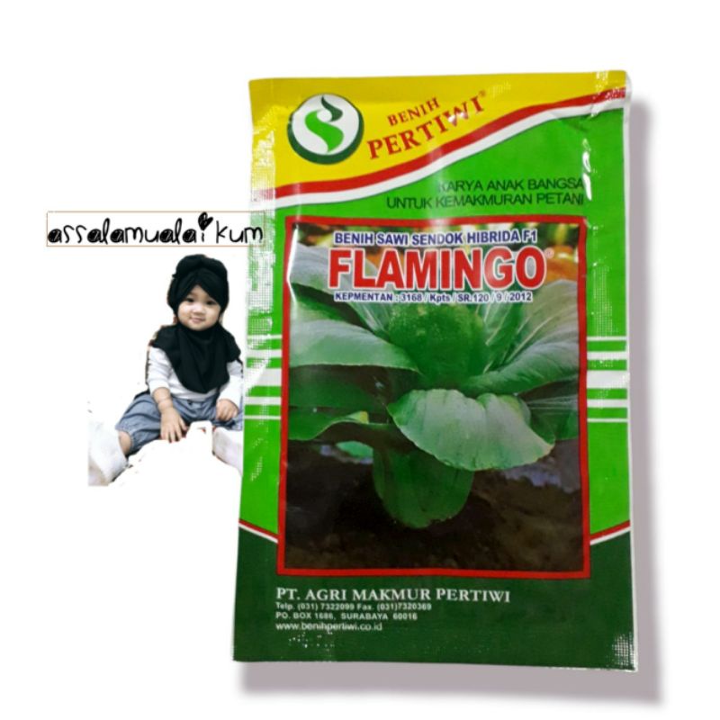Jual benih flamingo 50 gram | Shopee Indonesia