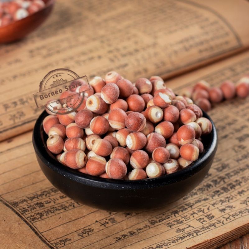 Jual Euryale Seeds/Red Qian shi 250 g | Shopee Indonesia