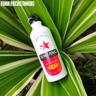Jual Bir Bintang Botol Terlengkap & Harga Terbaru Juni 2024 | Shopee ...