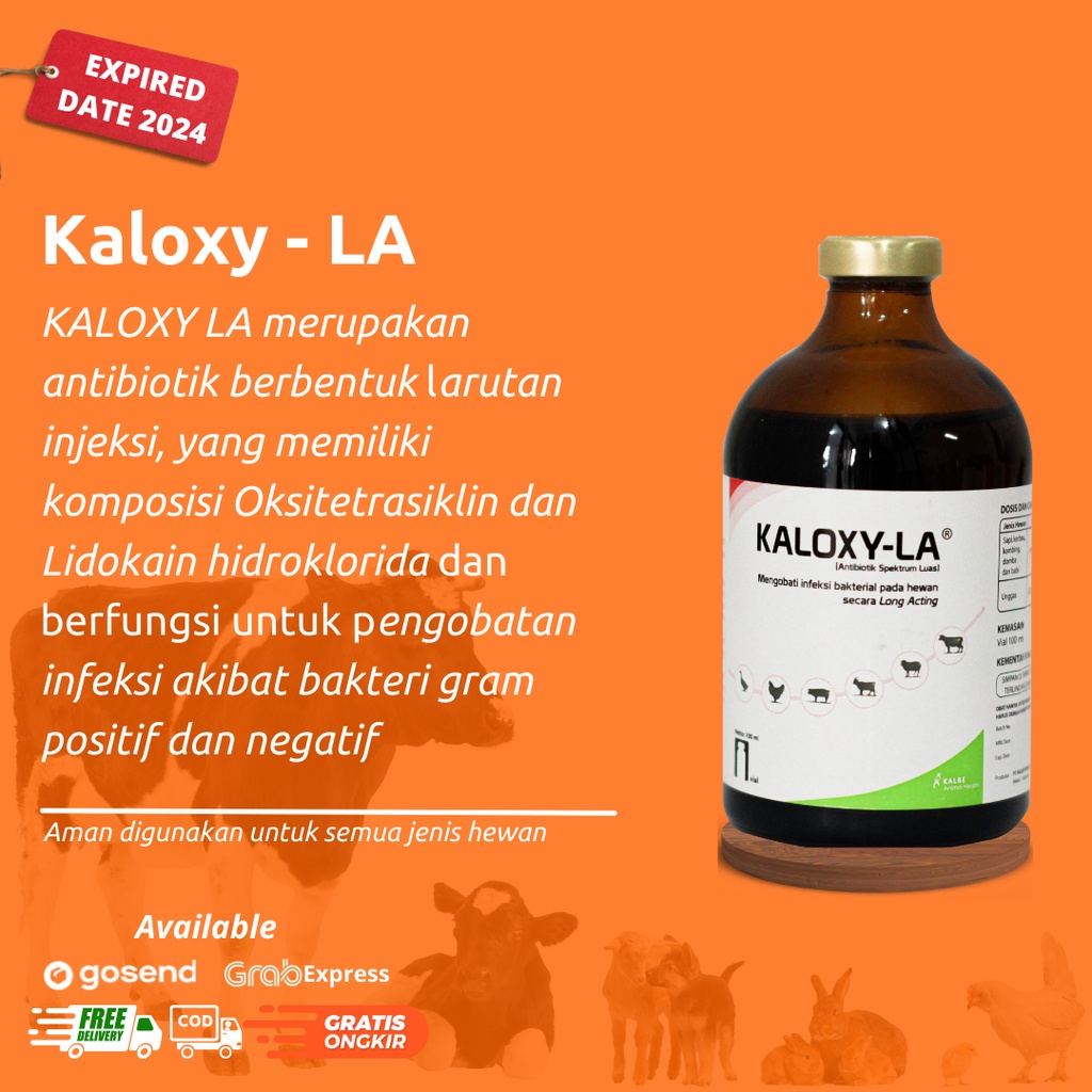 Jual Kaloxy LA obat hewan | Shopee Indonesia