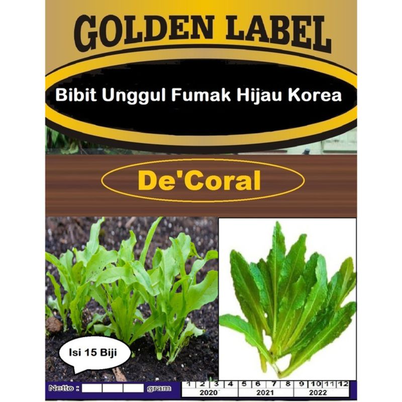 Jual Bibit Unggul Fumak Hijau Korea | Sword Lettuce | Premium Fumak ...