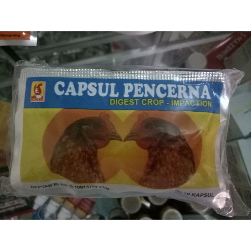 Jual capsul pencerna / obat pencernaan ayam / obat unggas / obat ayam ...