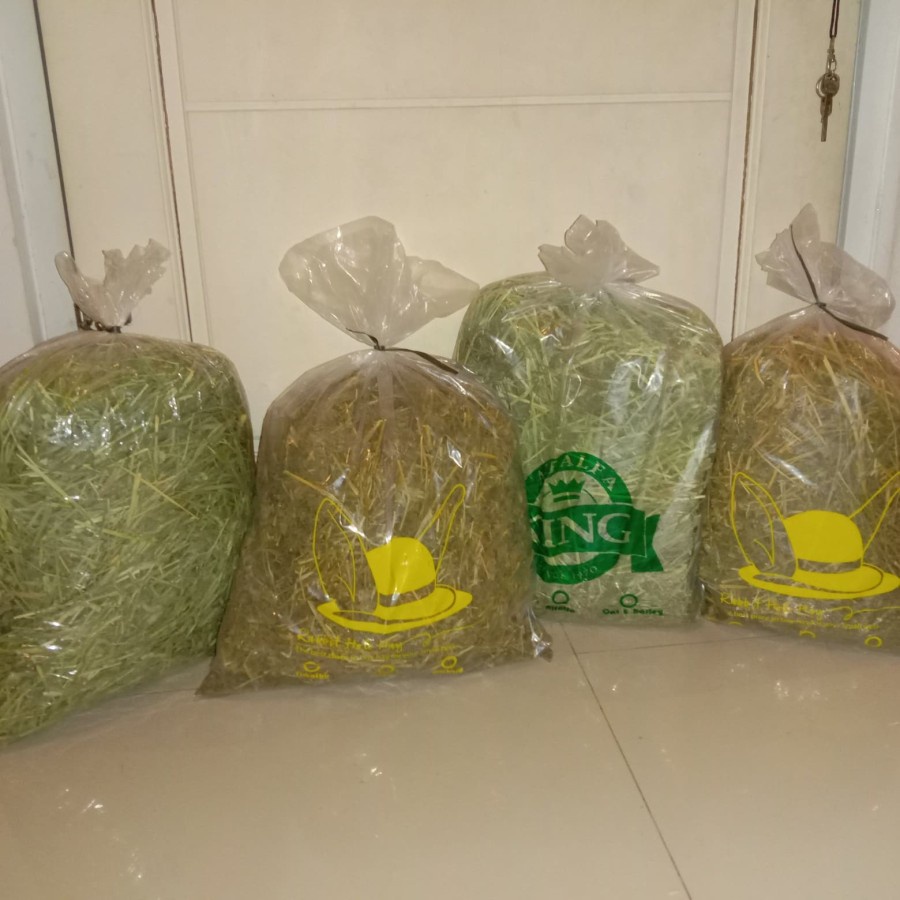 Jual Rumput Hay alfalfa Boogle untuk kelinci 0,5 Kg | Shopee Indonesia