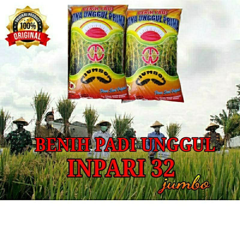 Jual BENIH PADI UNGGUL INPARI 32 JUMBO BERSERTIFIKAT LABEL UNGU | 5 kg | Shopee Indonesia