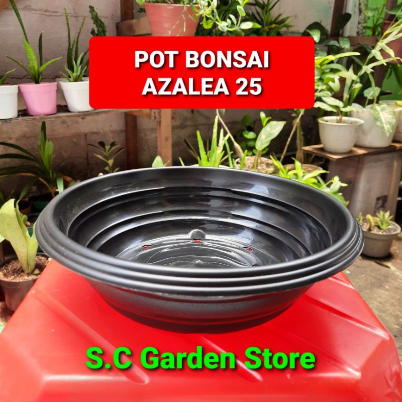 Jual POT BONSAI AZALEA 25 WARNA HITAM | POT BUNGA | POT TANAMAN | POT ...