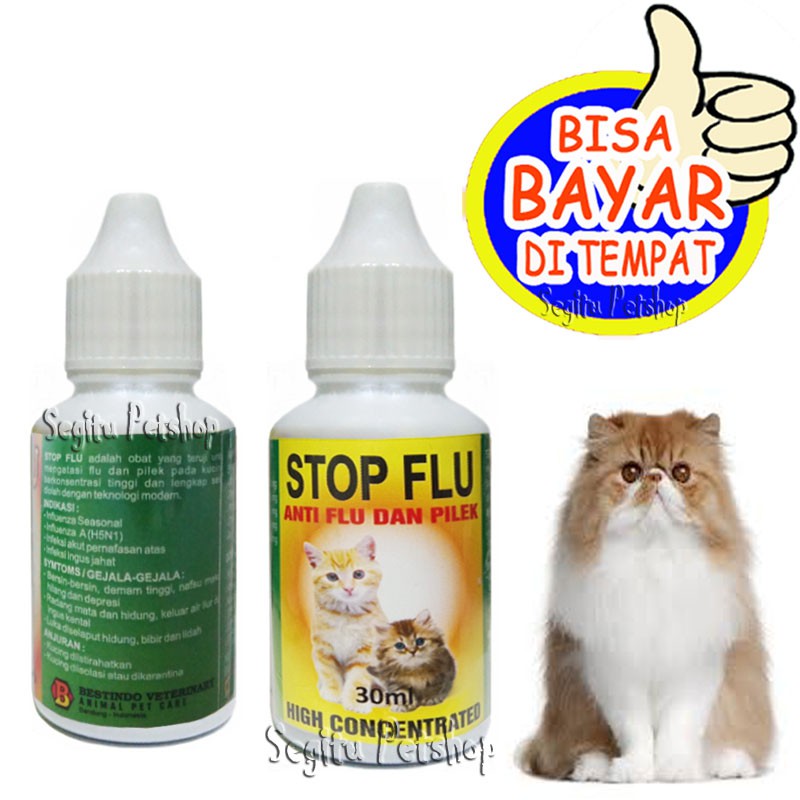 Jual OBAT FLU PILEK KUCING BERSIN HIDUNG BERAIR STOP FLU | Shopee Indonesia