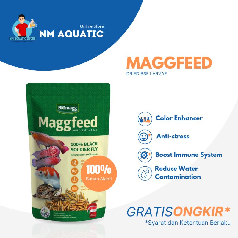 Jual Dried Maggot MAGGFEED BIOMAGG 100gr Maggot Kering Pakan Alternatif ...