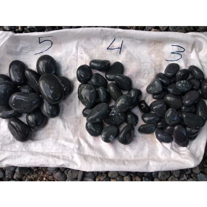 Jual Batu Koral Sikat Hitam Super 2/3 Cm 10kg | Shopee Indonesia