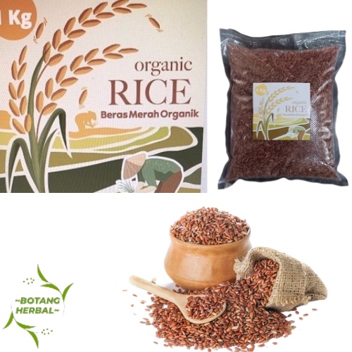 Jual BERAS MERAH Organik 1kg Curah / Tanpa Bahan Pengawet - Organic ...