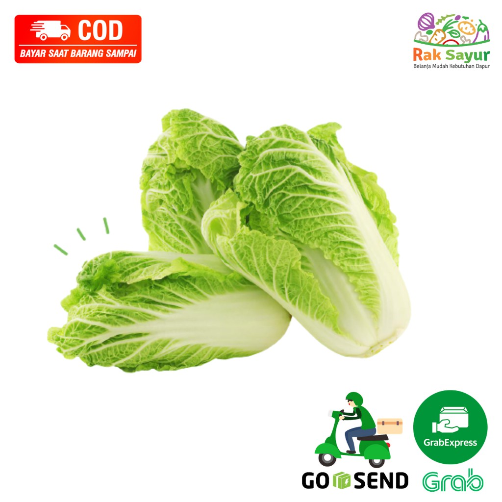 Jual Sayuran Segar Kimchi Rak Sayur Padang Fresh Sawi Putih Chinese ...