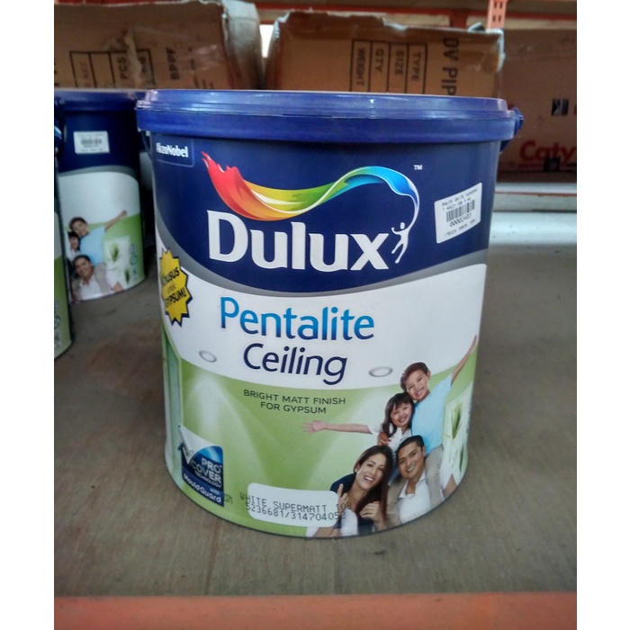 Jual DULUX Pentalite Ceiling White Supermatt 5kg Cat Gypsum / Cat ...