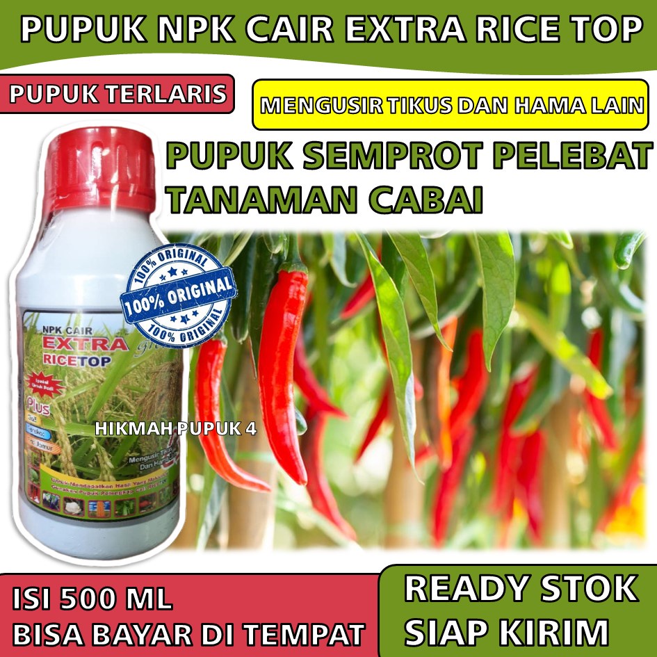 Jual Pupuk Npk Cair EXTRA RICETOP 500 Ml Pupuk Semprot Pelebat Tanaman Cabai - Pupuk Perangsang ...