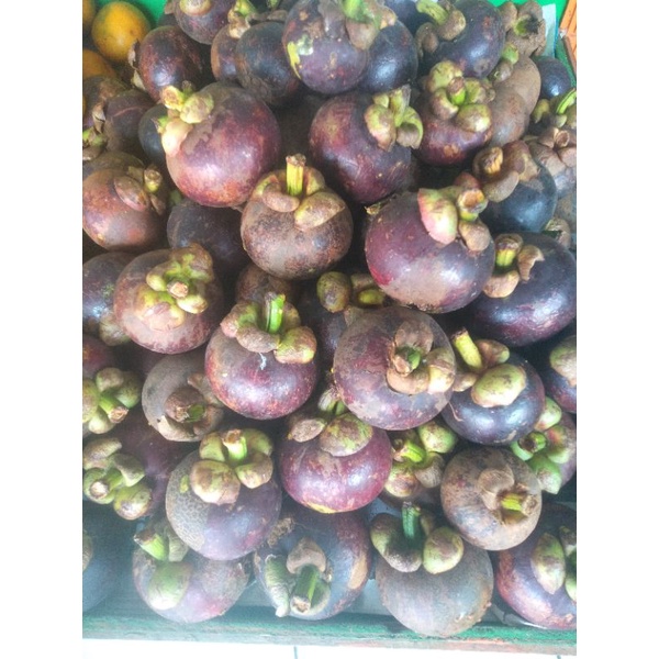 Jual buah manggis | Shopee Indonesia