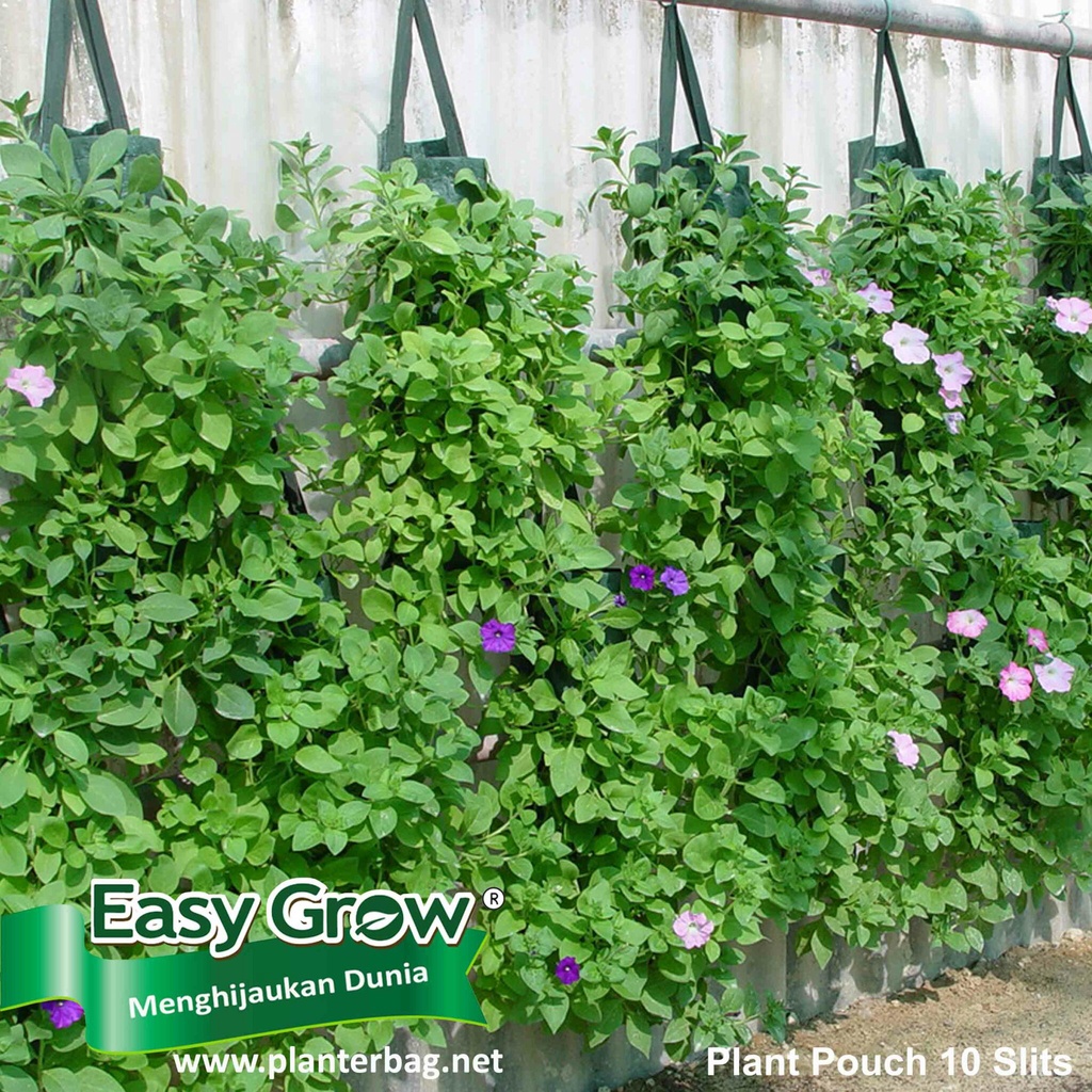 Jual Planter Bag Plant Pouch 10 Slits Pot Gantung Easy Grow | Shopee ...