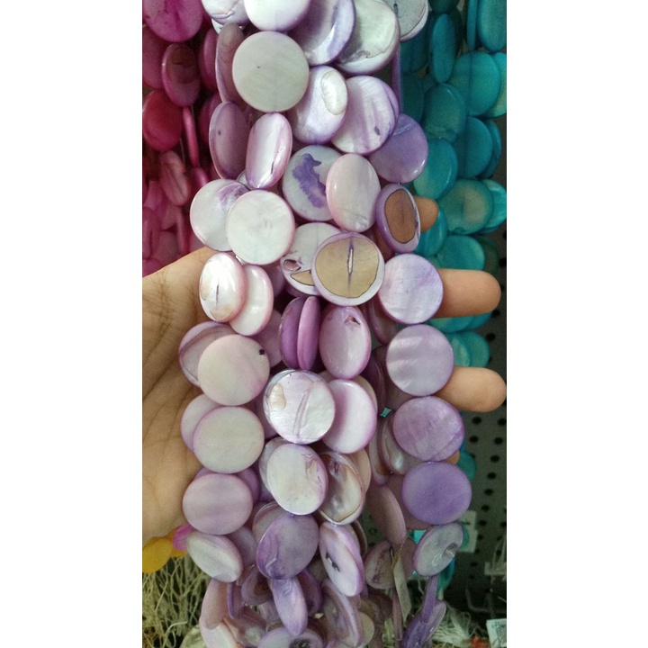 Jual KERANG PIPIH ANEKA WARNA 20MM | Shopee Indonesia