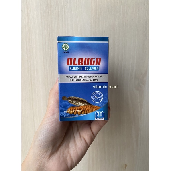 Jual Albuga Albumin Collagen Ikan Gabus & Gamat Emas | Shopee Indonesia