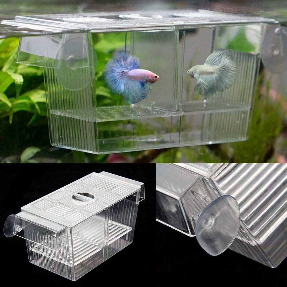 Jual Breeding Box Incubator Holder Guppy Cupang Kotak Tempat Penetasan ...