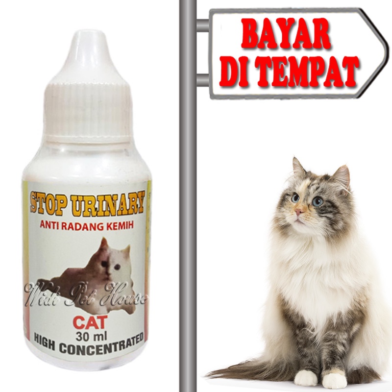 Jual Obat Susah Kencing Radang Kemih Kucing High Concentrated Stop ...