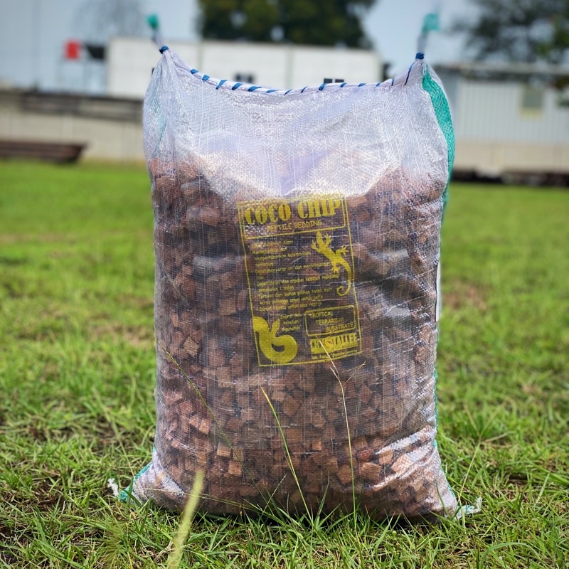 Jual COCO CHIP 36 L / ALAS KADANG REPTILE | Shopee Indonesia