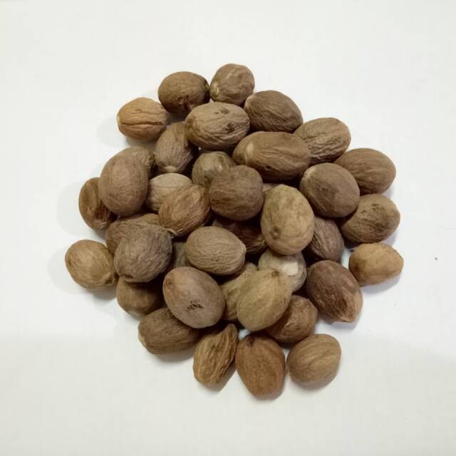 Jual Biji Pala Bulat 500gram / Nutmeg Whole / Pala | Shopee Indonesia