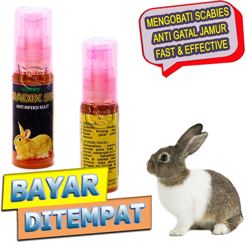 Jual Radix 55 Spray Obat Koreng Buduk Jamur Scabies Kelinci | Shopee ...