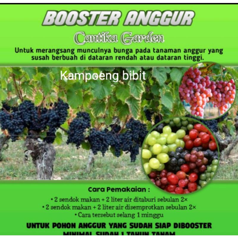 Jual Pupuk booster perangsang dan pelebat semua tanaman buah | Shopee Indonesia