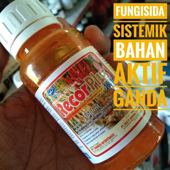 Jual Fungisida Recor Plus 300 EC kemasan 100 ml | Shopee Indonesia