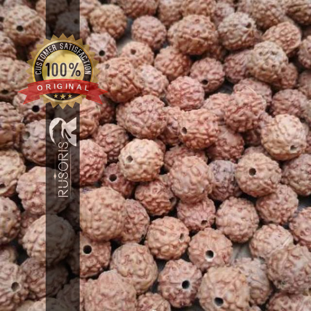 Jual Bahan Kerajinan 120biji Manik Gelang Jenitri Rudraksha Genitri ...