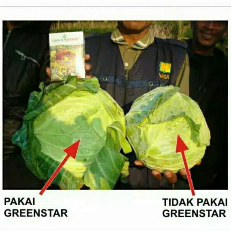 Jual Pupuk bunga Green Star Nasa | Shopee Indonesia